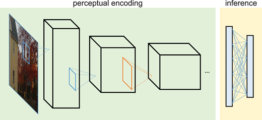 Modeling peripheral vision – Persci